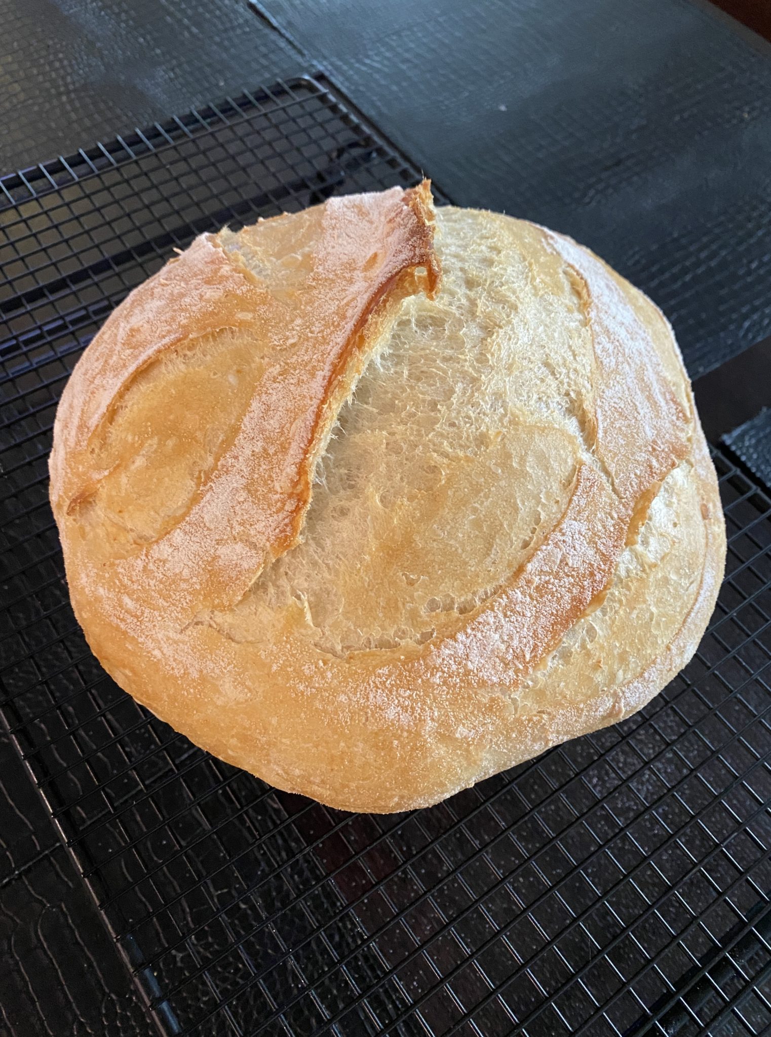 No-Knead Cold-Bake Artisan Bread – Carol Beth Anderson
